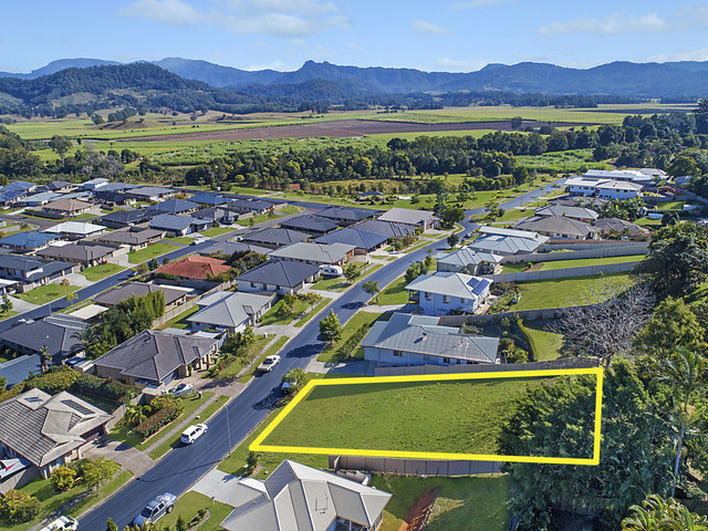 Real Estate for Sale in Murwillumbah, NSW 2484 | Allhomes