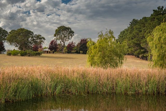 Real Estate for Sale in Sutton, NSW 2620 | Allhomes